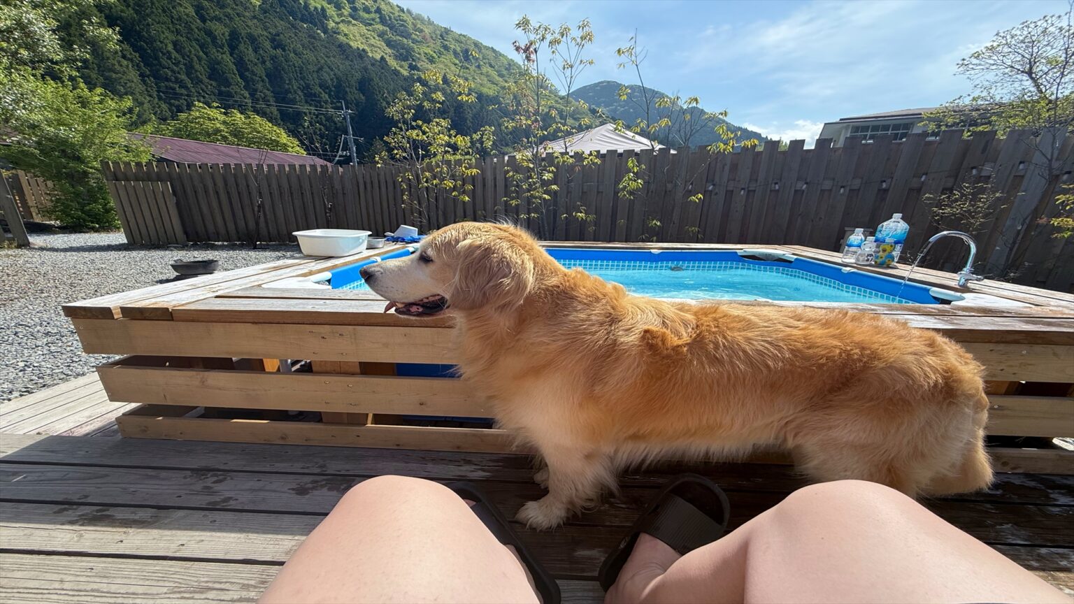 【新登場】愛犬と泊まれる！Camp Base KADOJINで過ごす、癒しの洞川温泉ステイ | Camp base Kadojin（キャンプベース角甚）